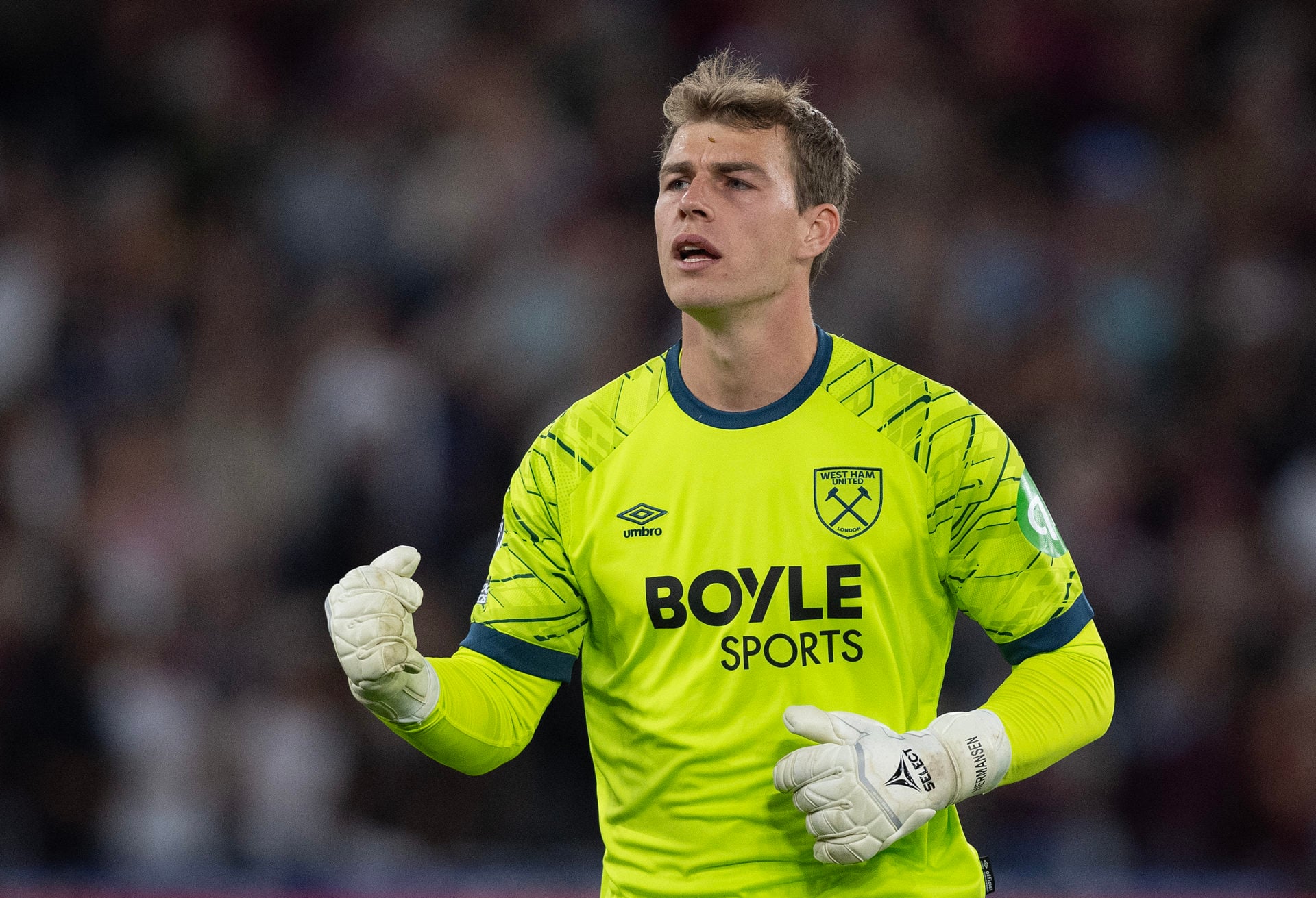 West Ham Squad - Hammers News